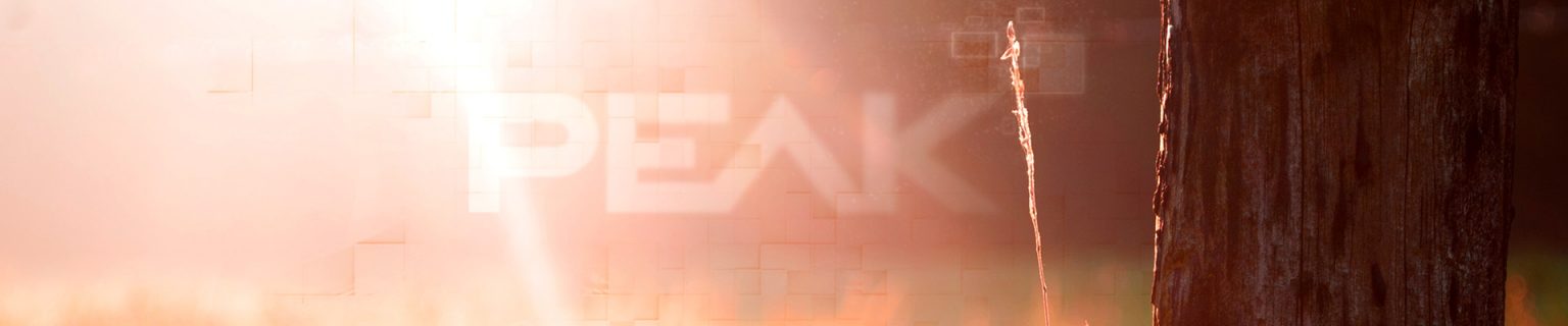 关于PEAK - PEAK-System